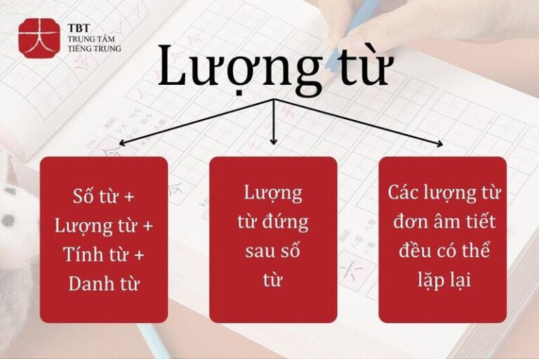 [77] Lượng từ trong tiếng Trung phổ biến: Phân loại và Cách dùng